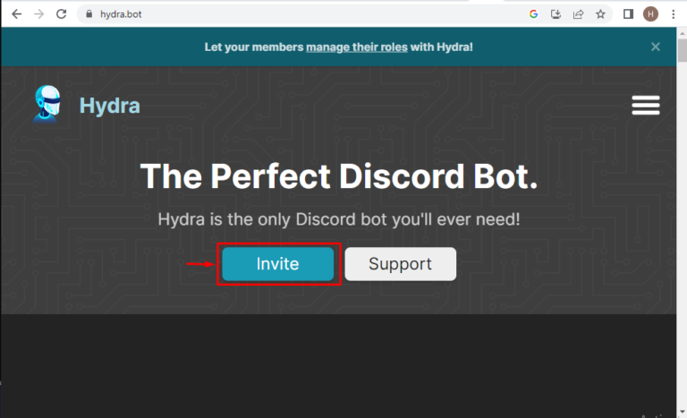 ≫ ¿Cómo Pones Un Bot Hydra En Discord? - 1000Demonios